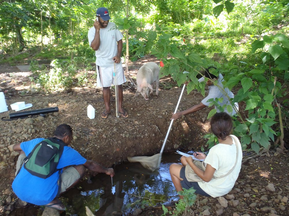 BLOG: FNU Labasa Freshwater Survey Part 3 | WWF