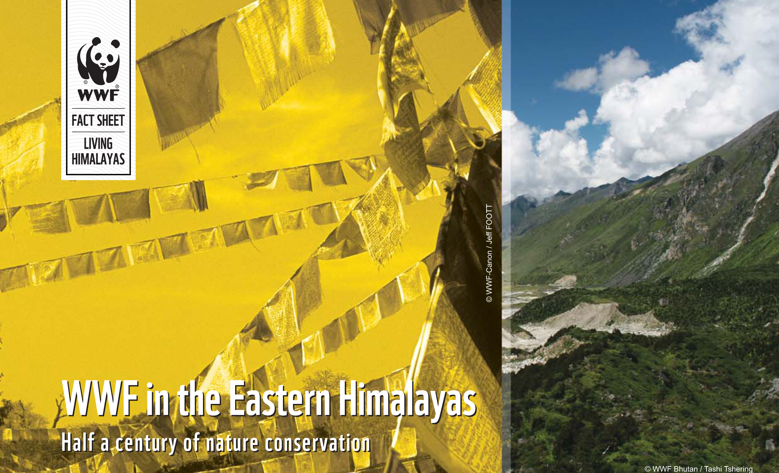 WWF in the Eastern Himalayas | WWF
