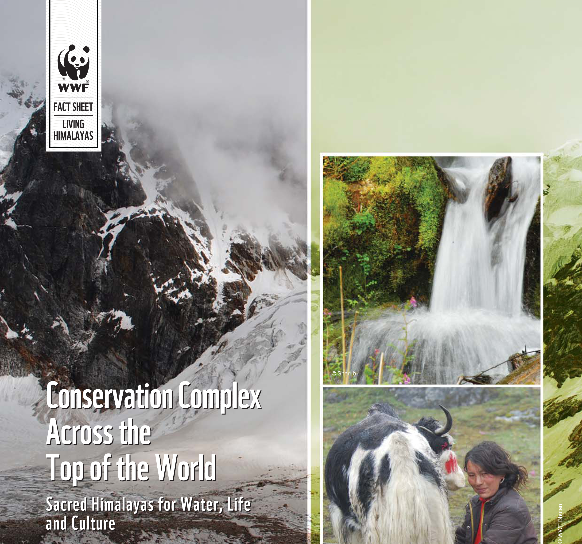 WWF's Conservation Complex across the Top of the World | WWF