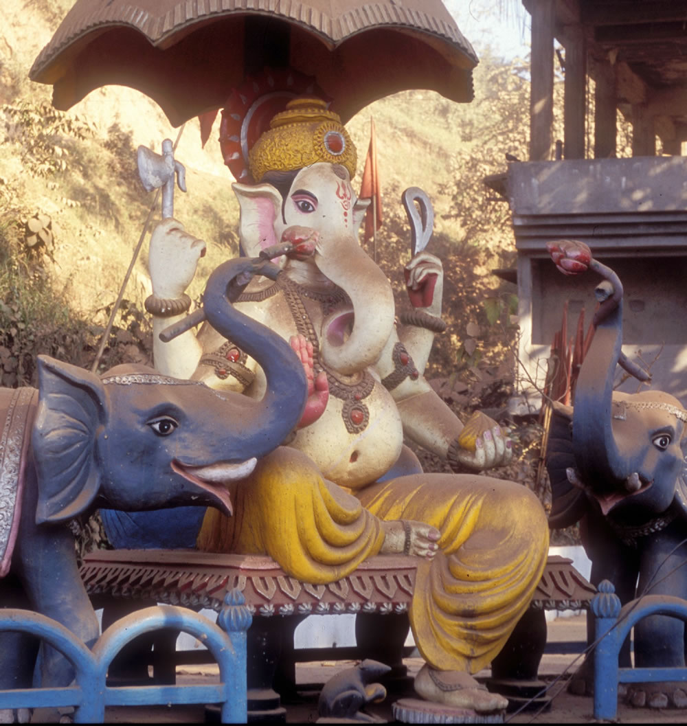 Lines of defense: Elephant protection in India’s North Bank Landscape | WWF