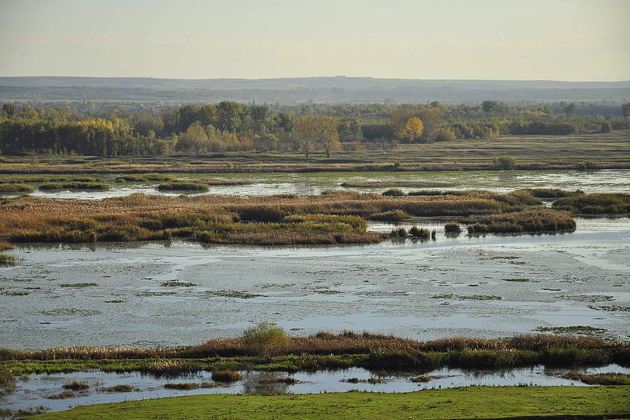 WWF works to bring over 12 million m³ water back to nature in the ...