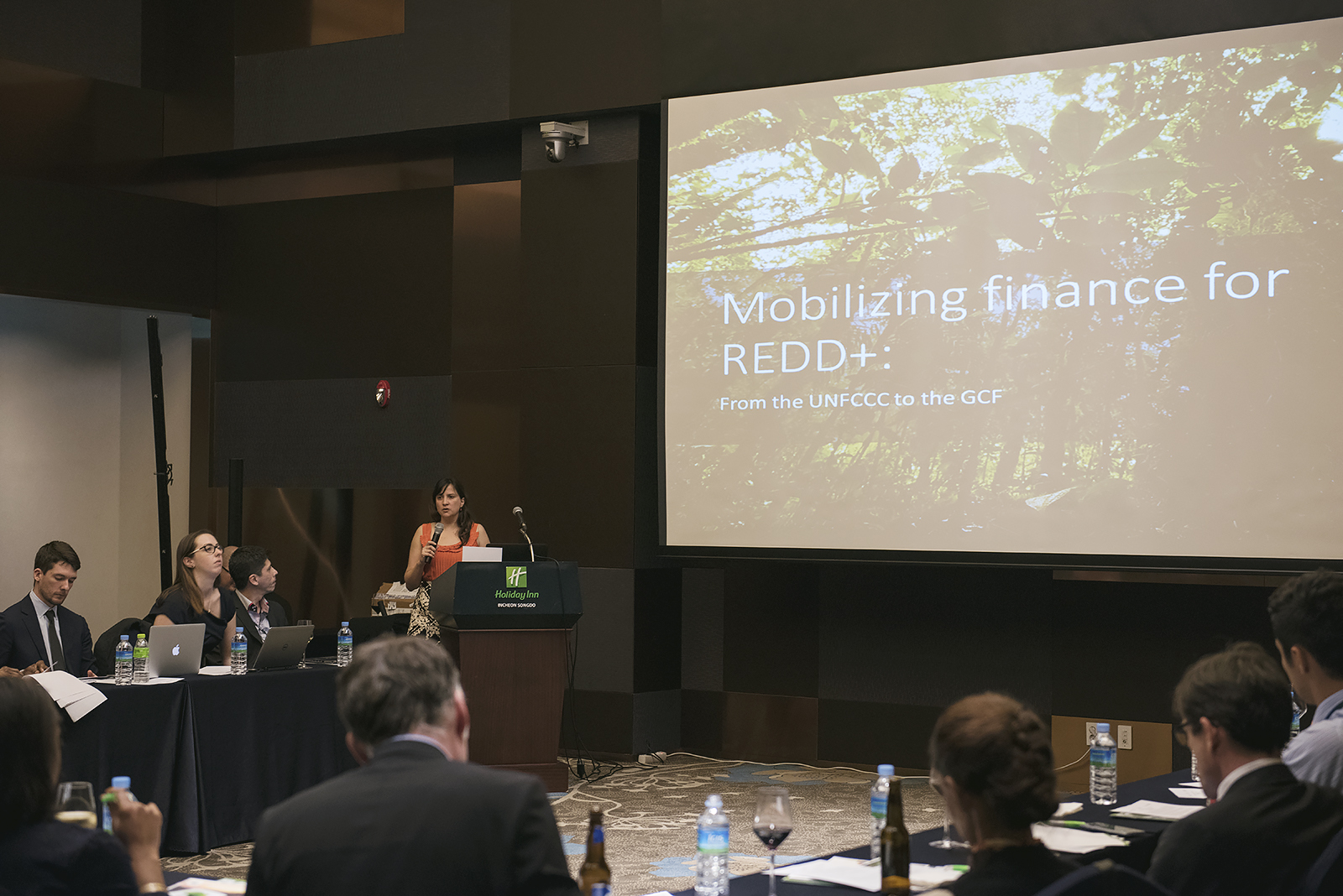 Pandas in the Wild | WWF