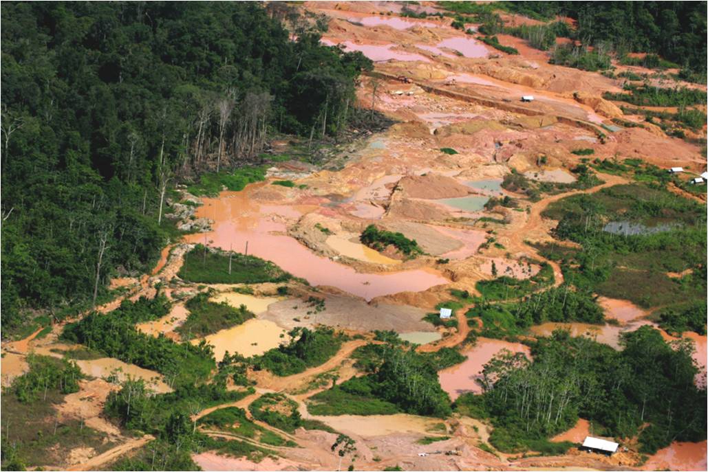 Gold-mining: A growing threat on the Amazon since Rio 92 | WWF