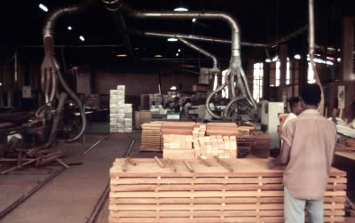 Making markets work for forests and people in Ghana | WWF