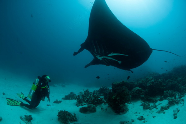Why the Pacific Islands could be the next hot tourism destination | WWF