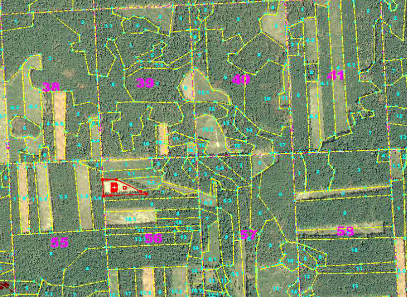 Навіщо лісам потрібна сертифікація та GIS-системи? | WWF