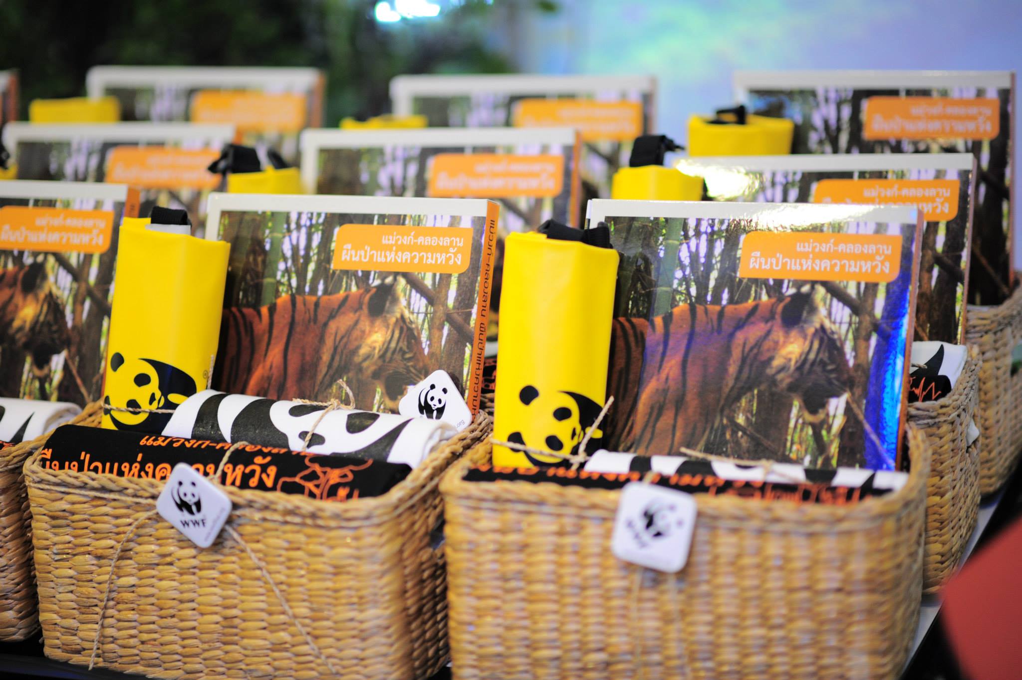 2014 Global Tiger Day in Thailand | WWF