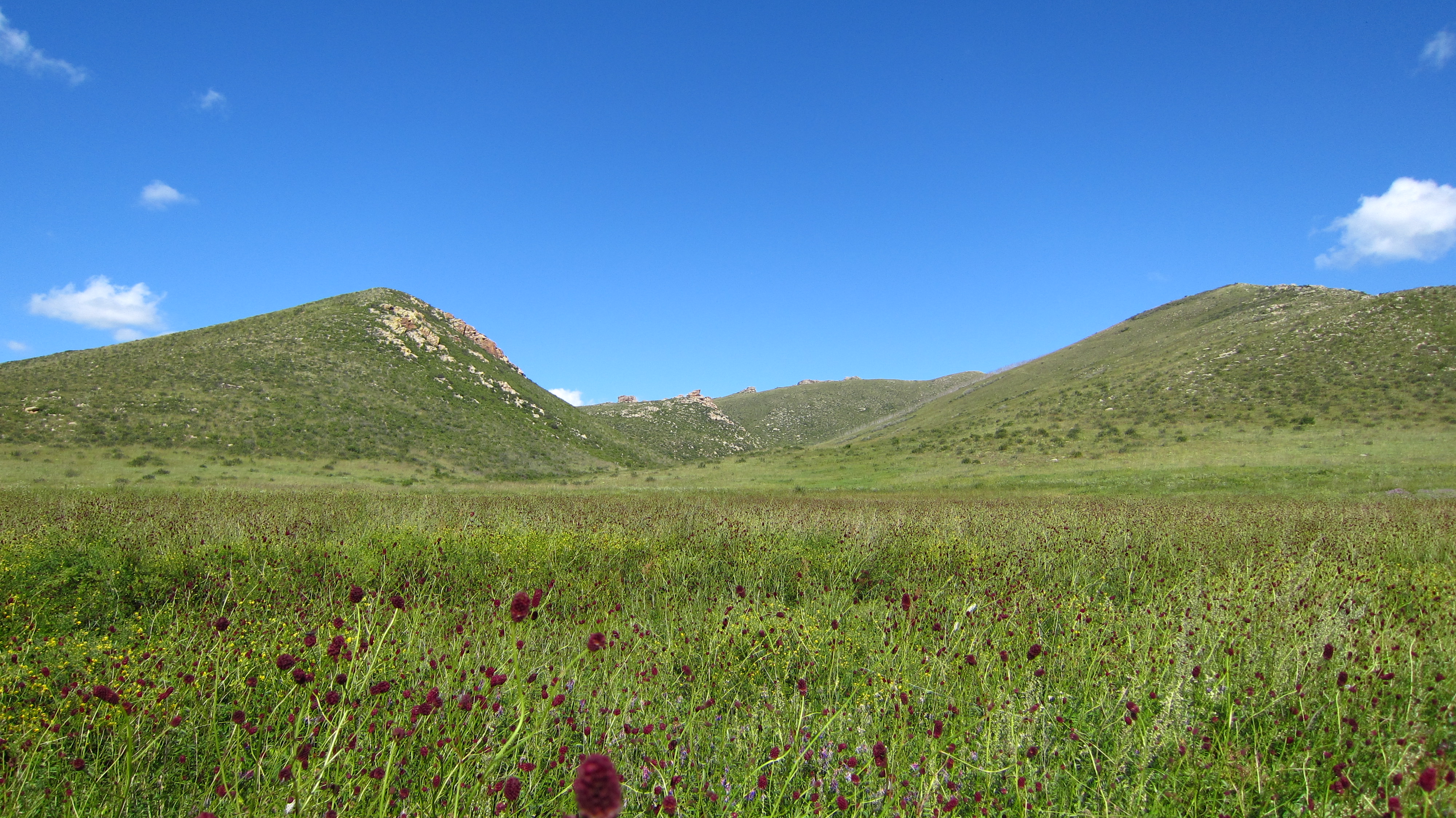 Khar Yamaat Nature Reserve management participation is increasing | WWF