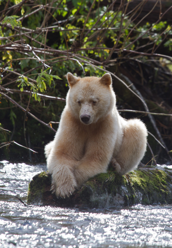 Major new conservation complex underway | WWF