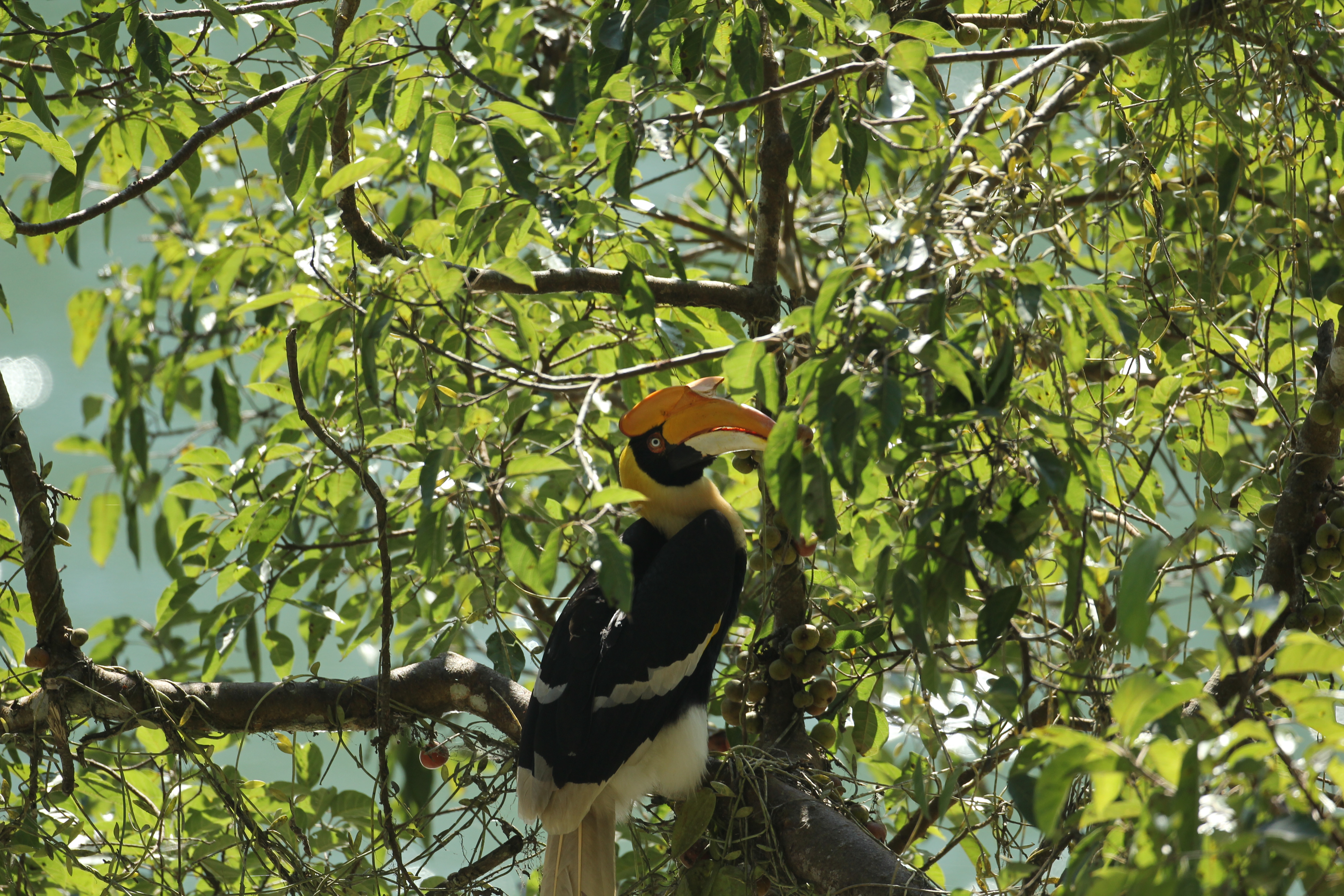 WWF supports Community based Eco-tourism projects in Royal Manas ...