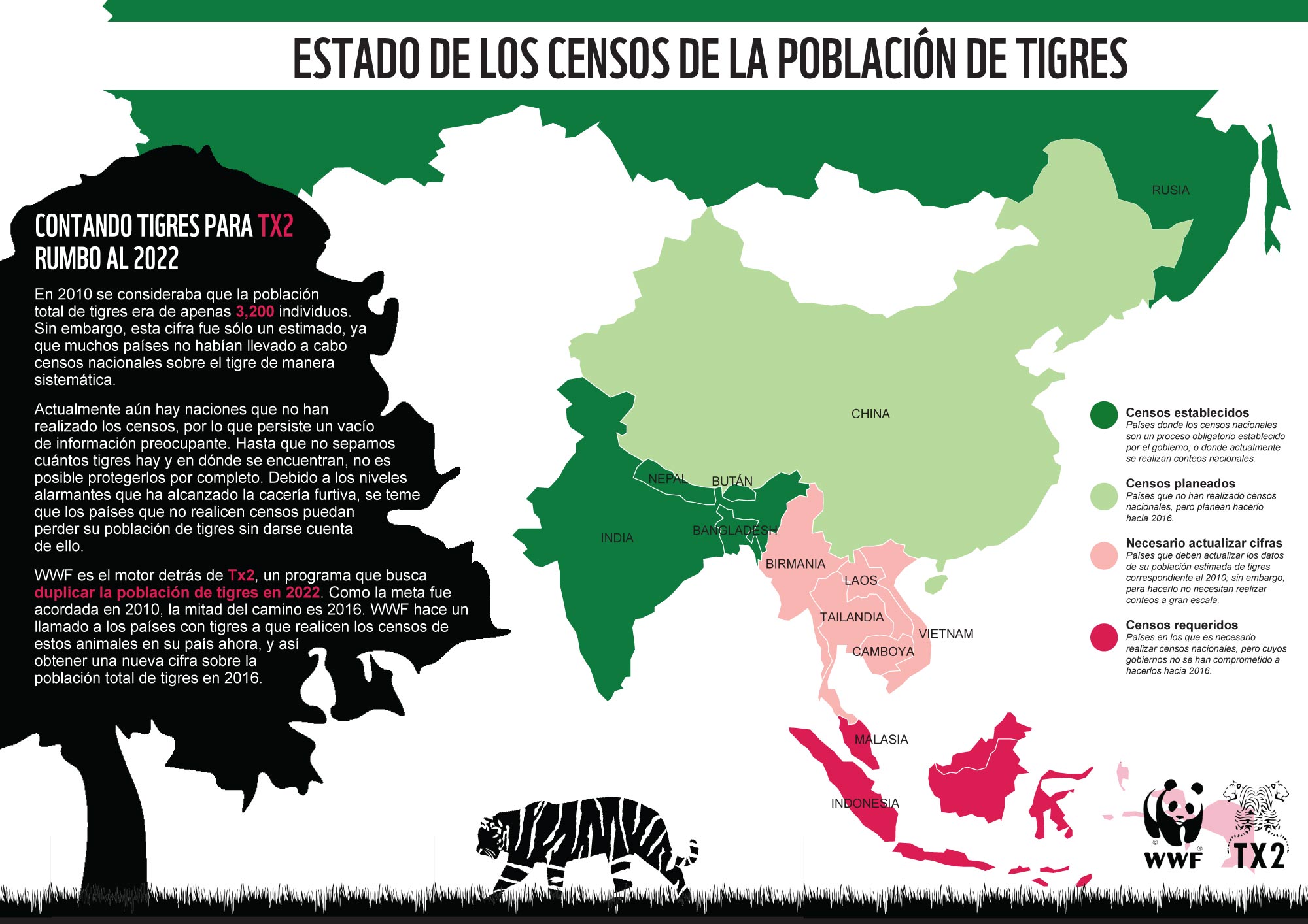 Día Mundial del Tigre 2014 – Se desconoce la población global del tigre ...
