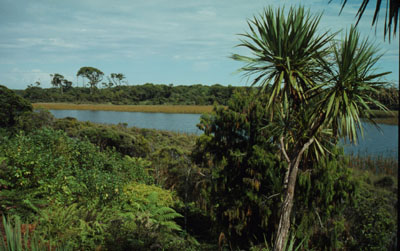 NEW ZEALAND - Expansion of New Zealand's protected areas system | WWF