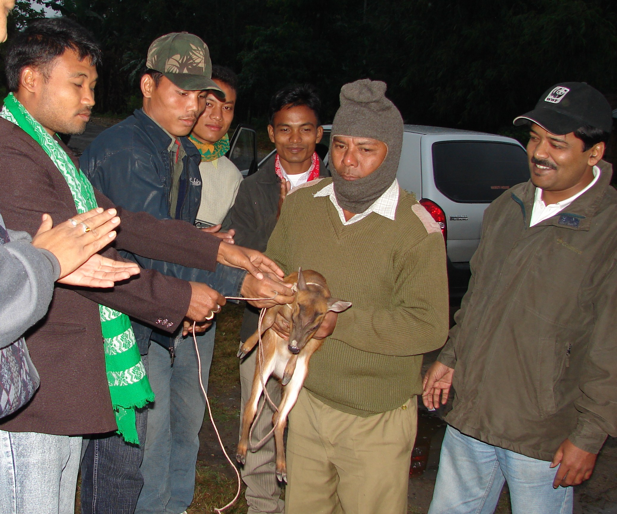 Rebels save wildlife | WWF