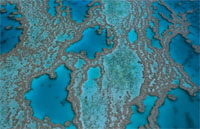 Natural wonders feel the heat | WWF