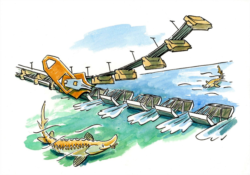 Historic day on the Haringvliet as dam gates opened to reconnect Rhine ...