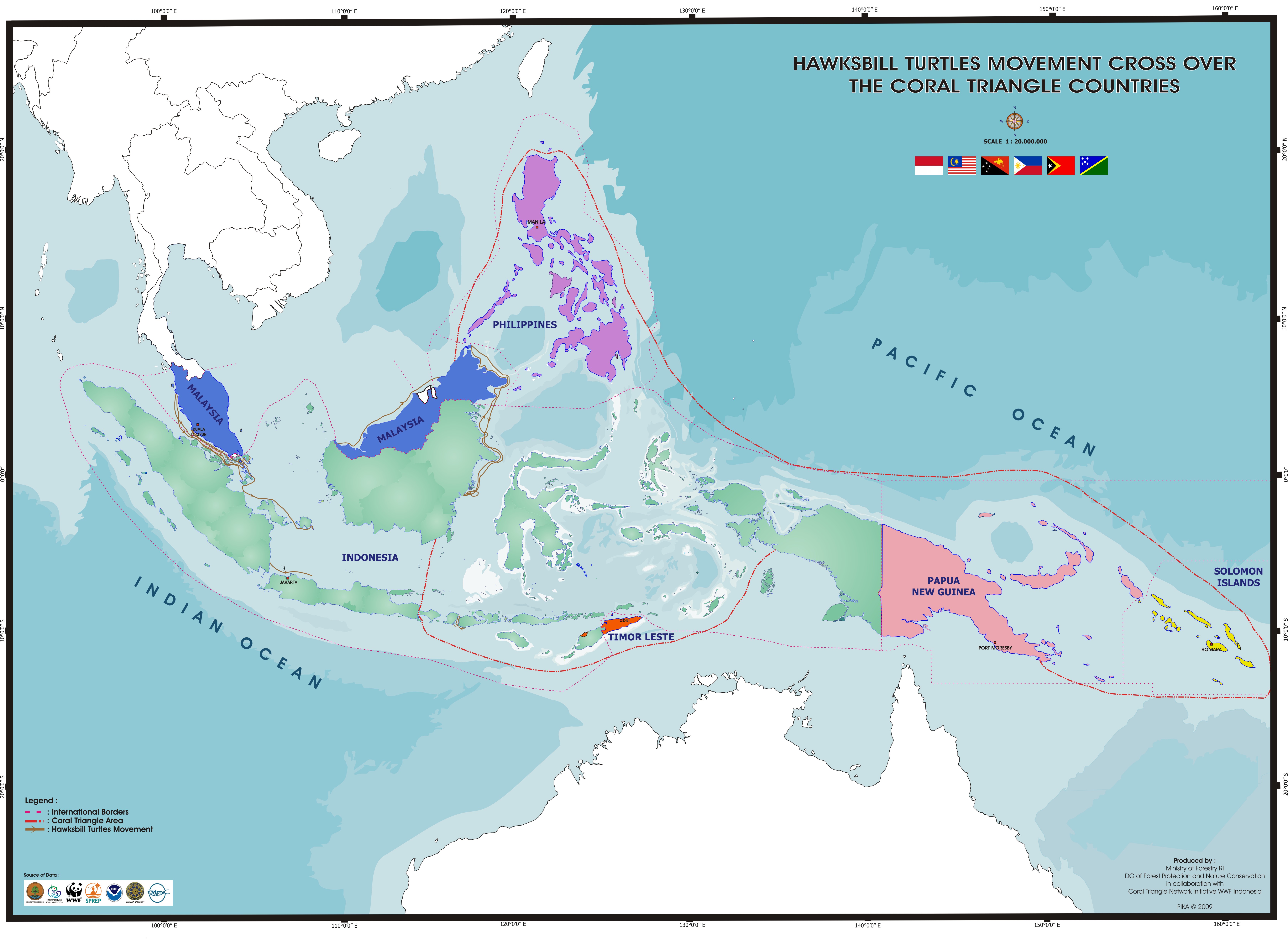 Hawksbill turtle migrations in the Coral Triangle | WWF