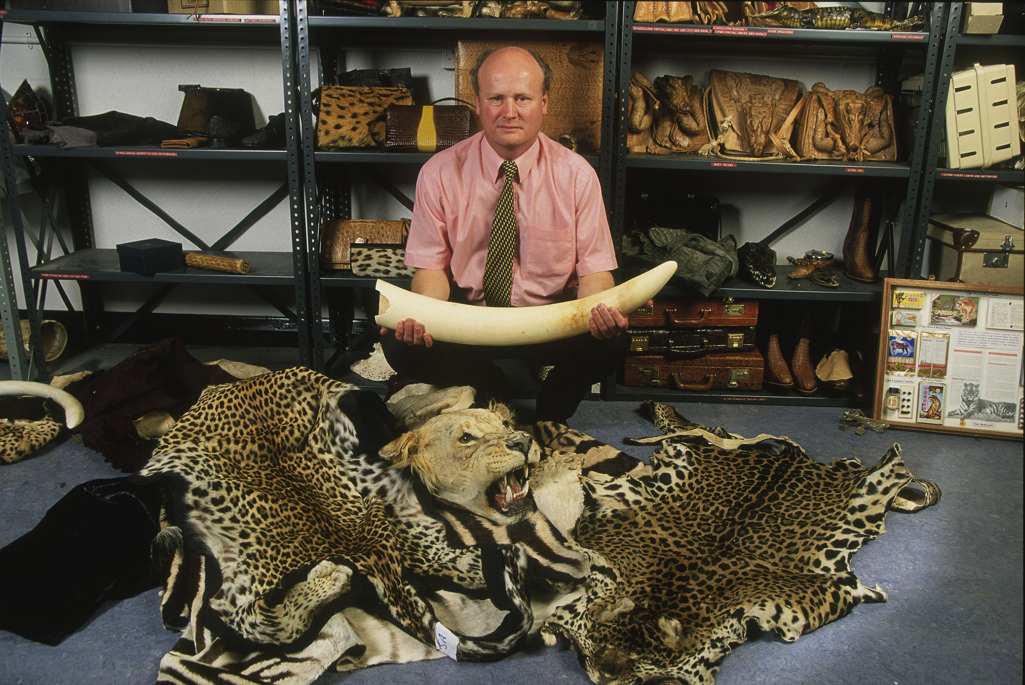 มติโลกเพื่อสัตว์ป่าครั้งประวัติศาสตร์ | WWF