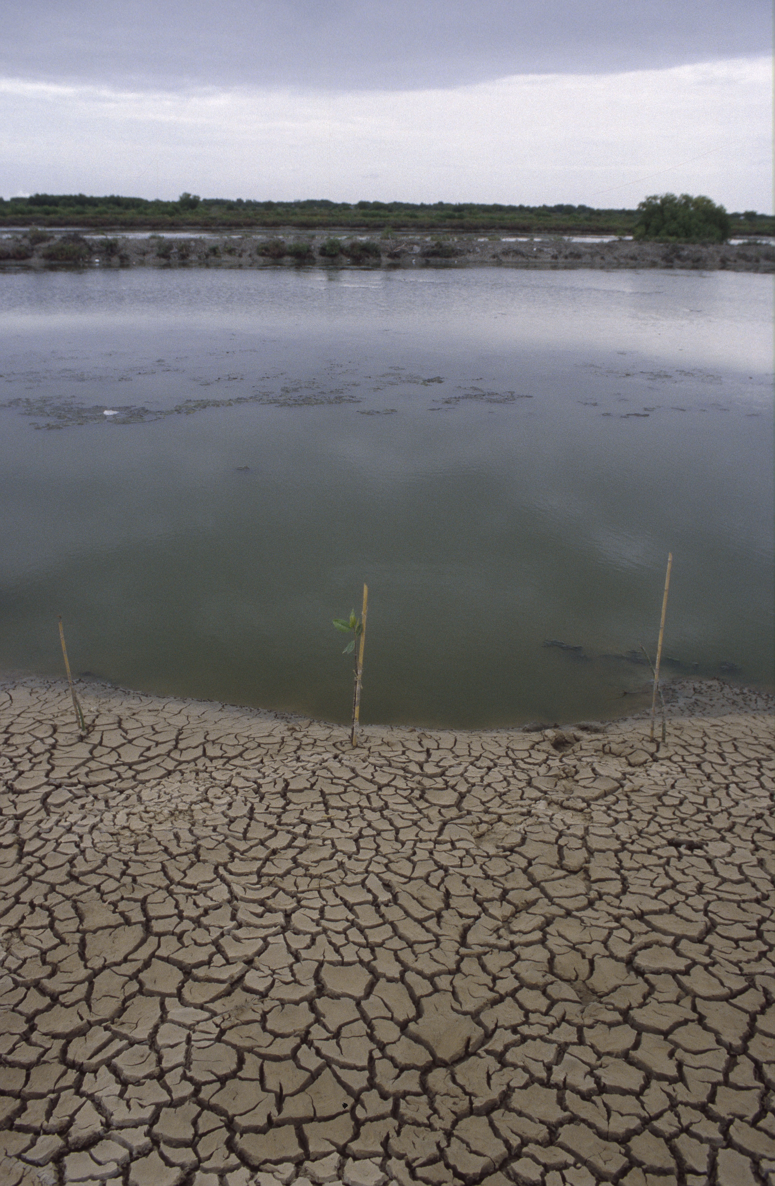 Climate-proofing development in coastal areas | WWF