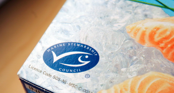 VIEWPOINT: Food security - and what it means for sustainable seafood | WWF