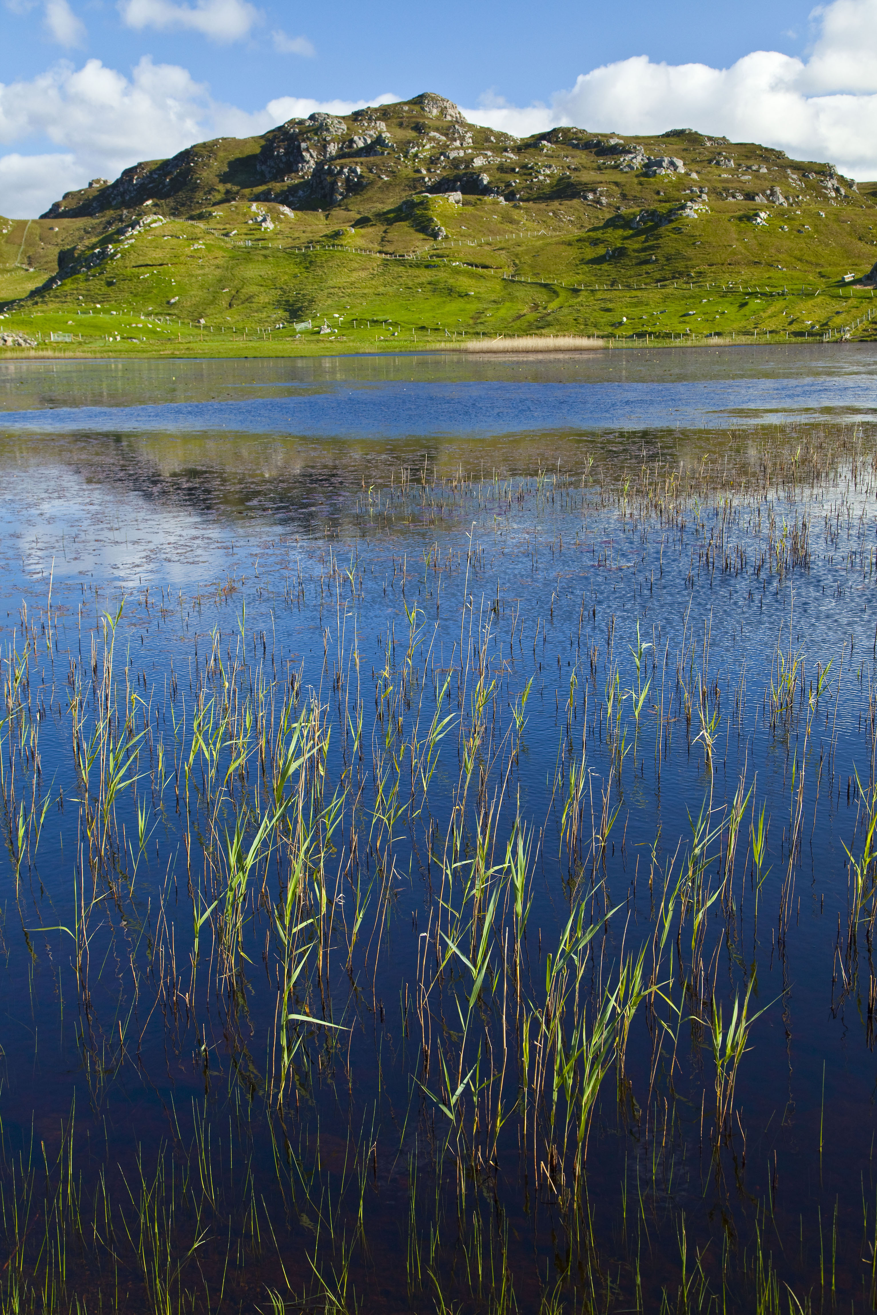 50% for nature & climate: Will the European Commission put ...