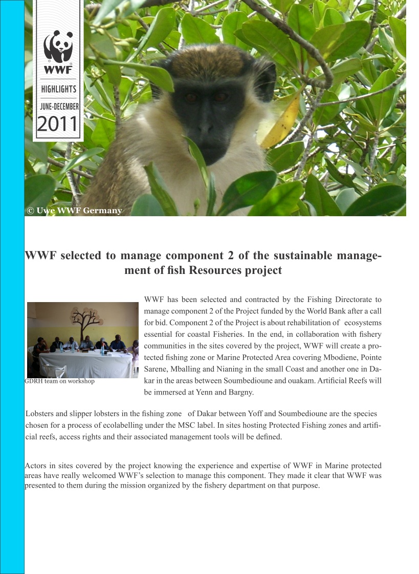 Highlights Wwf