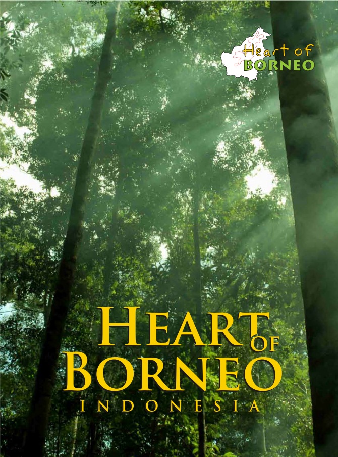 Heart of Borneo INDONESIA, Questions and Answers | WWF