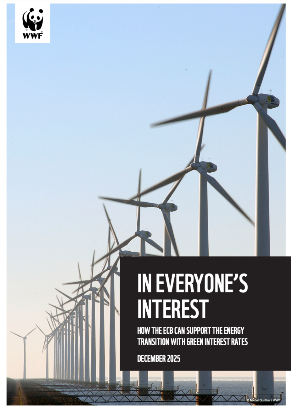 Green refinancing operations: helping the ECB keep prices stable | WWF
