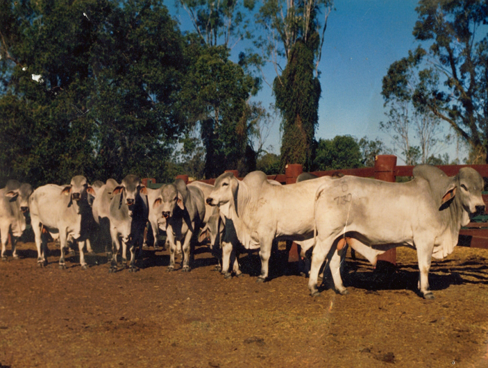 Climate Witness: Hugh Innes, Australia | WWF