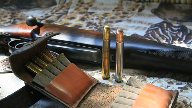 Costa Rica passes law banning hunting as a sport | WWF