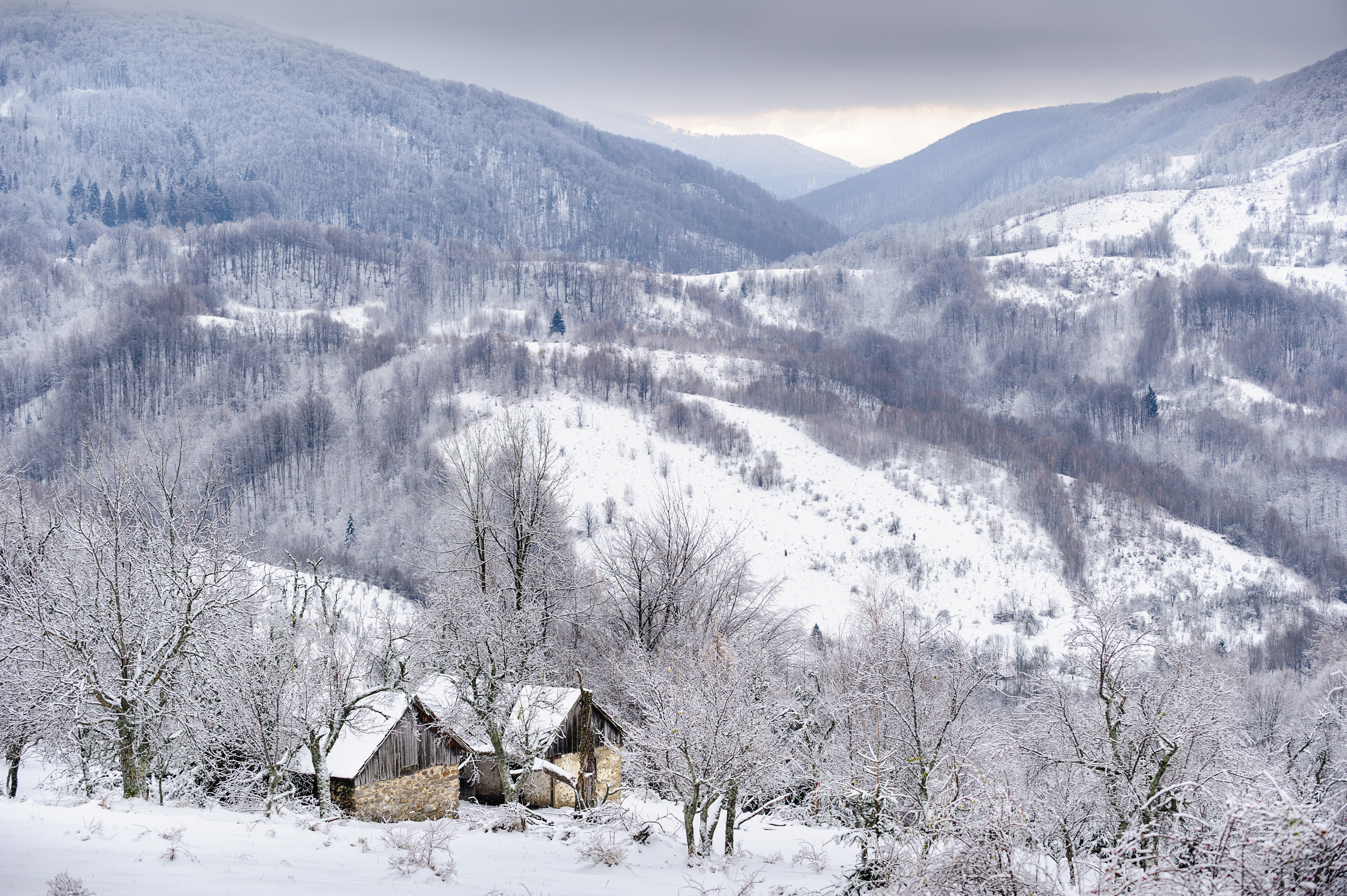 New legislation may impact the most preserved Romanian nature | WWF