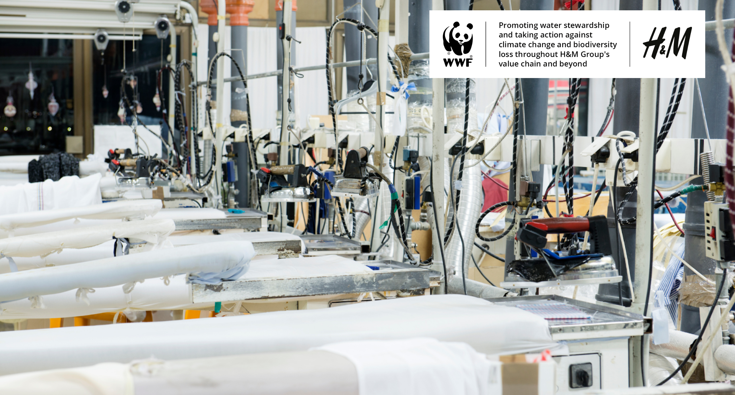 Major milestone in Viet Nam's textile sector decarbonisation | WWF
