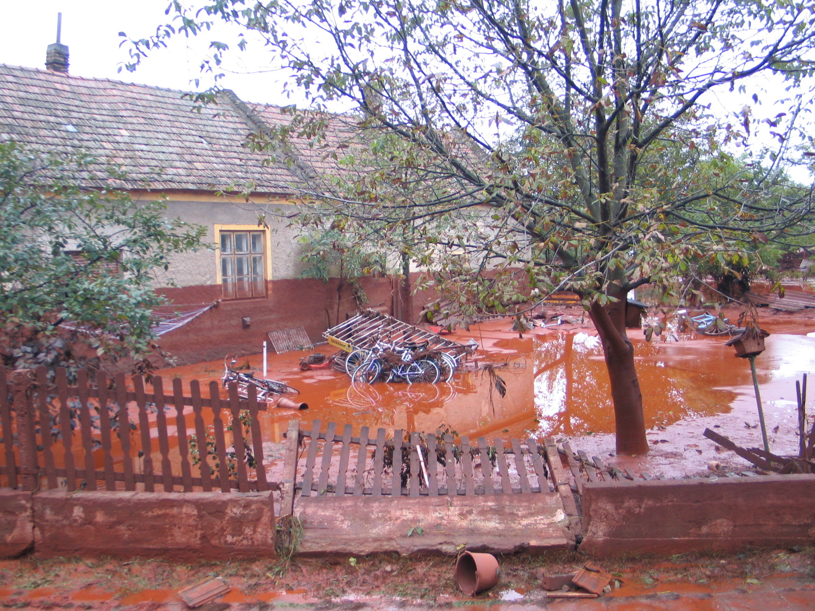 What is under threat along the Danube? | WWF