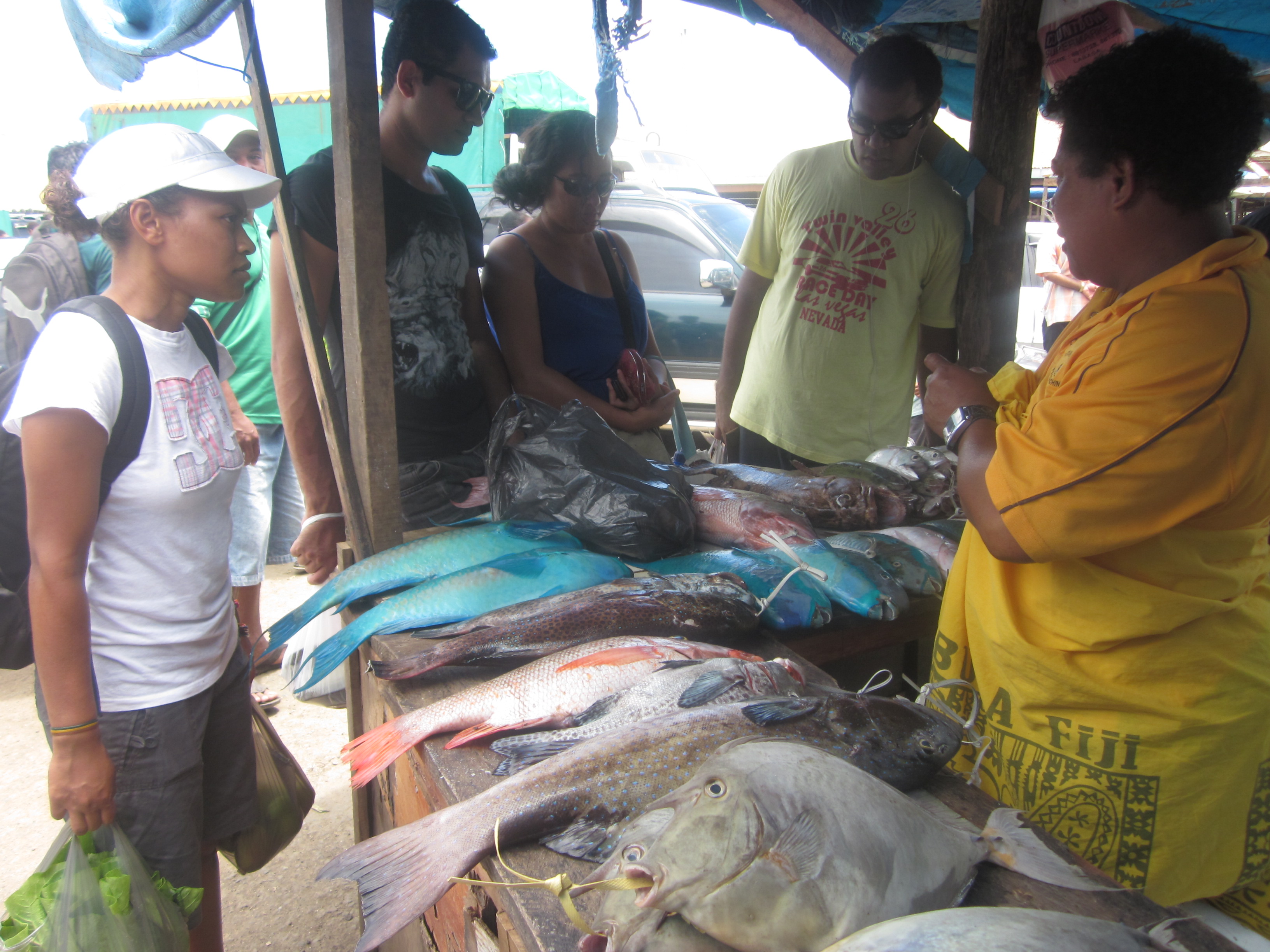 Building Resilience blog | WWF