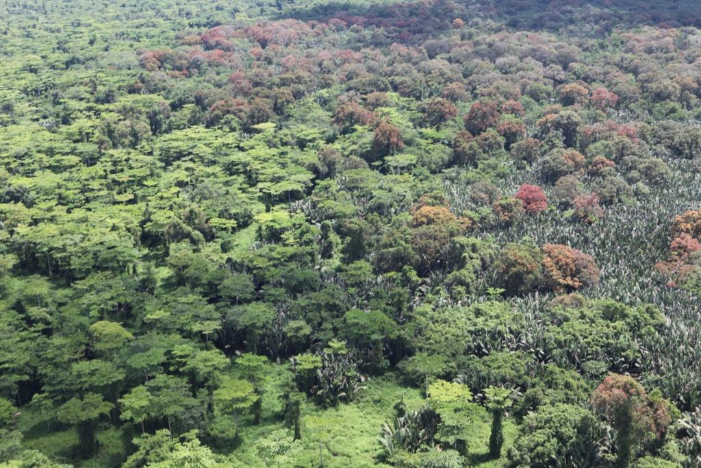 Biodiversity awareness on the rise with consumers | WWF