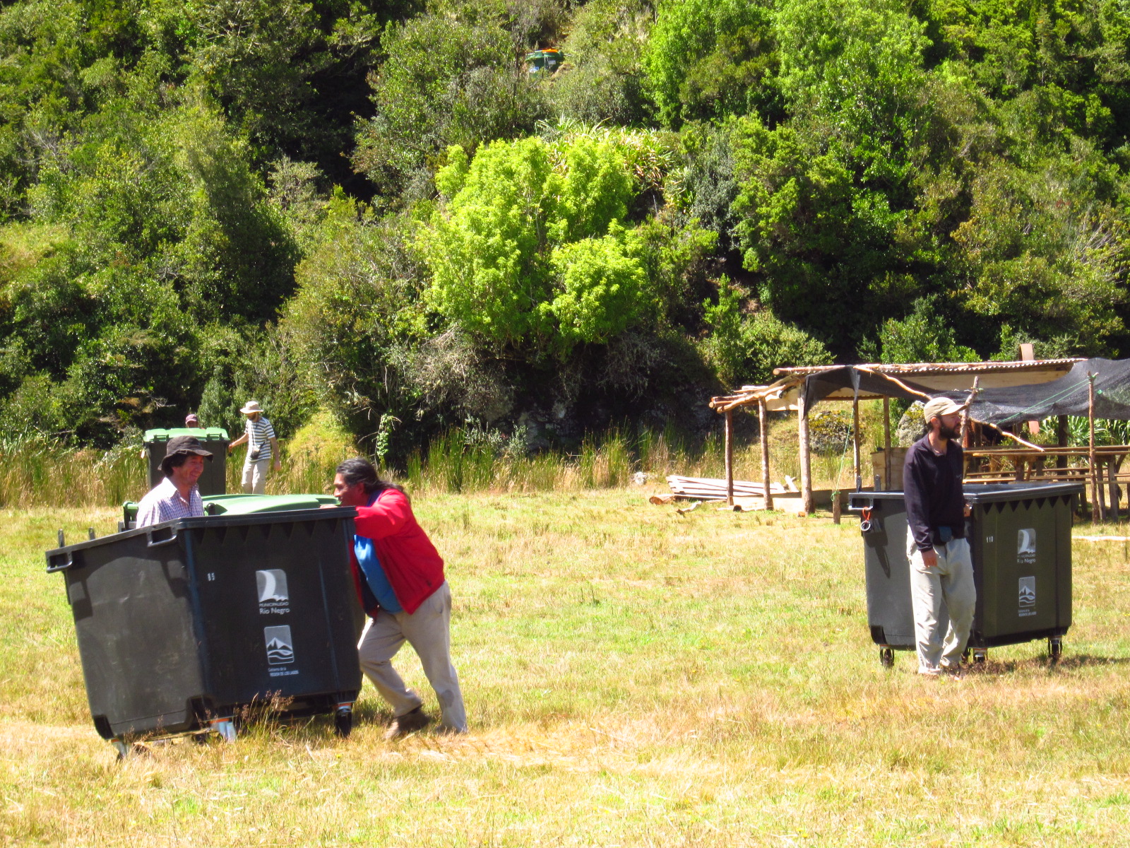 Territorio Mapu Lahual invita a caminar entre senderos de alerce y ...
