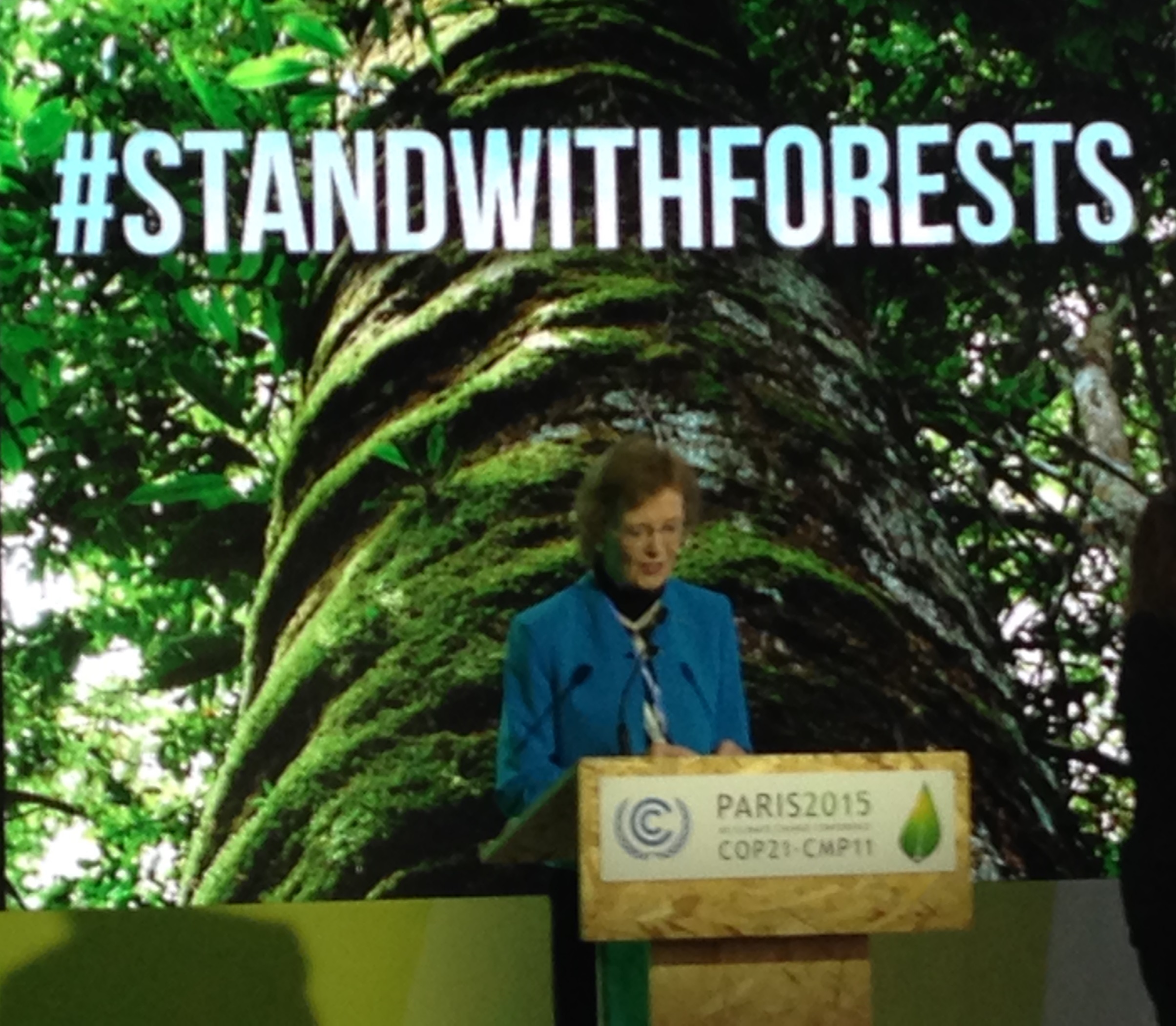 World leaders outline forest vision at climate change talks | WWF