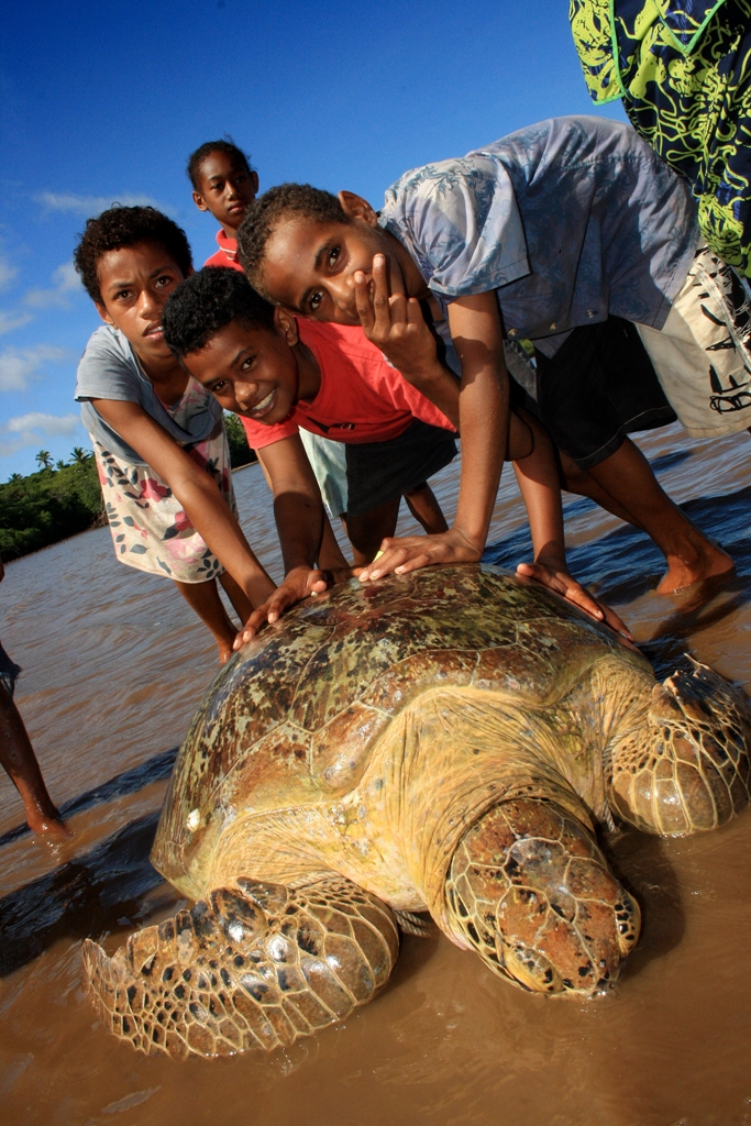 WWF Turtle Workshop | WWF