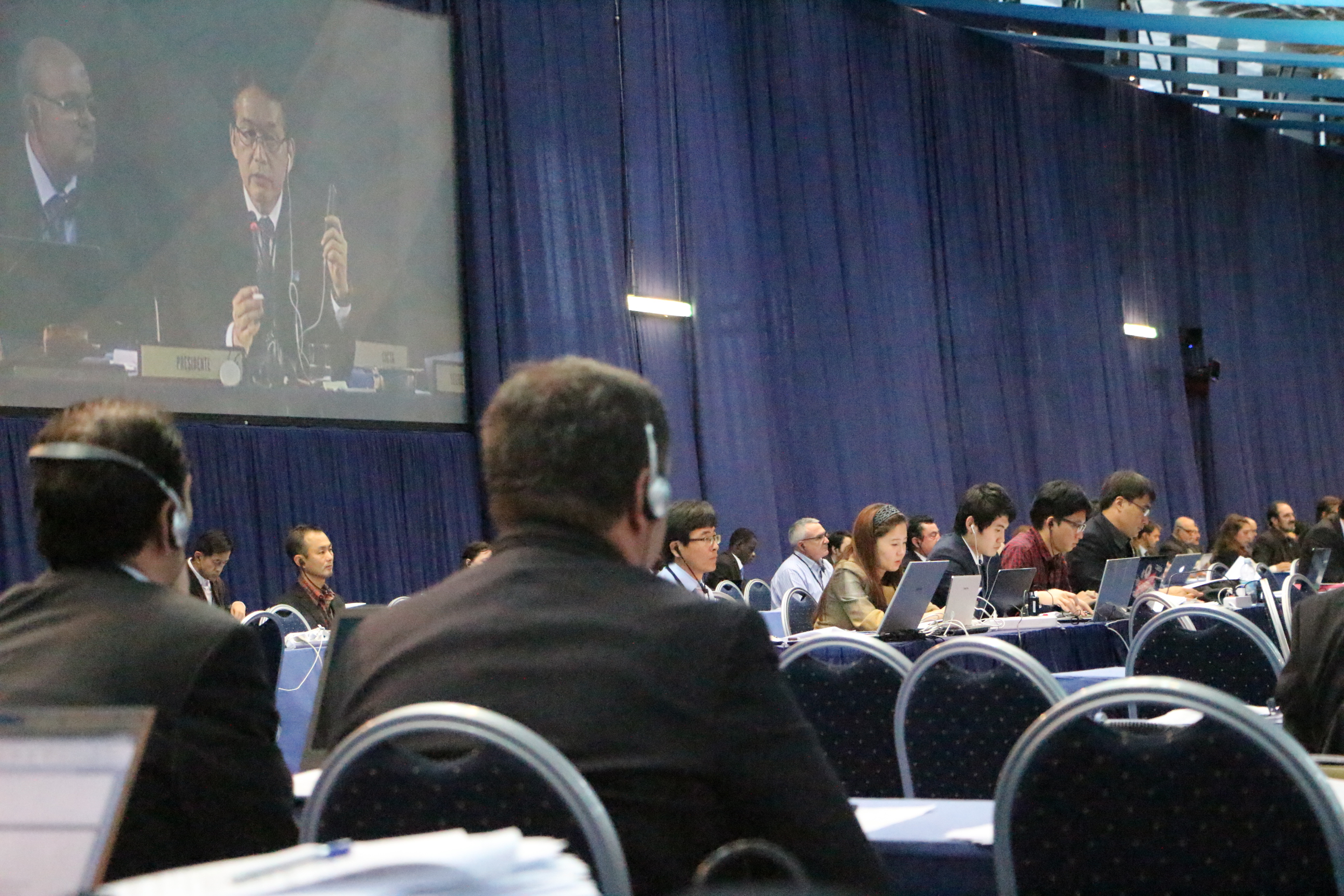 ICCAT: bluefin tuna recovery on track but illegal fishing still to be ...