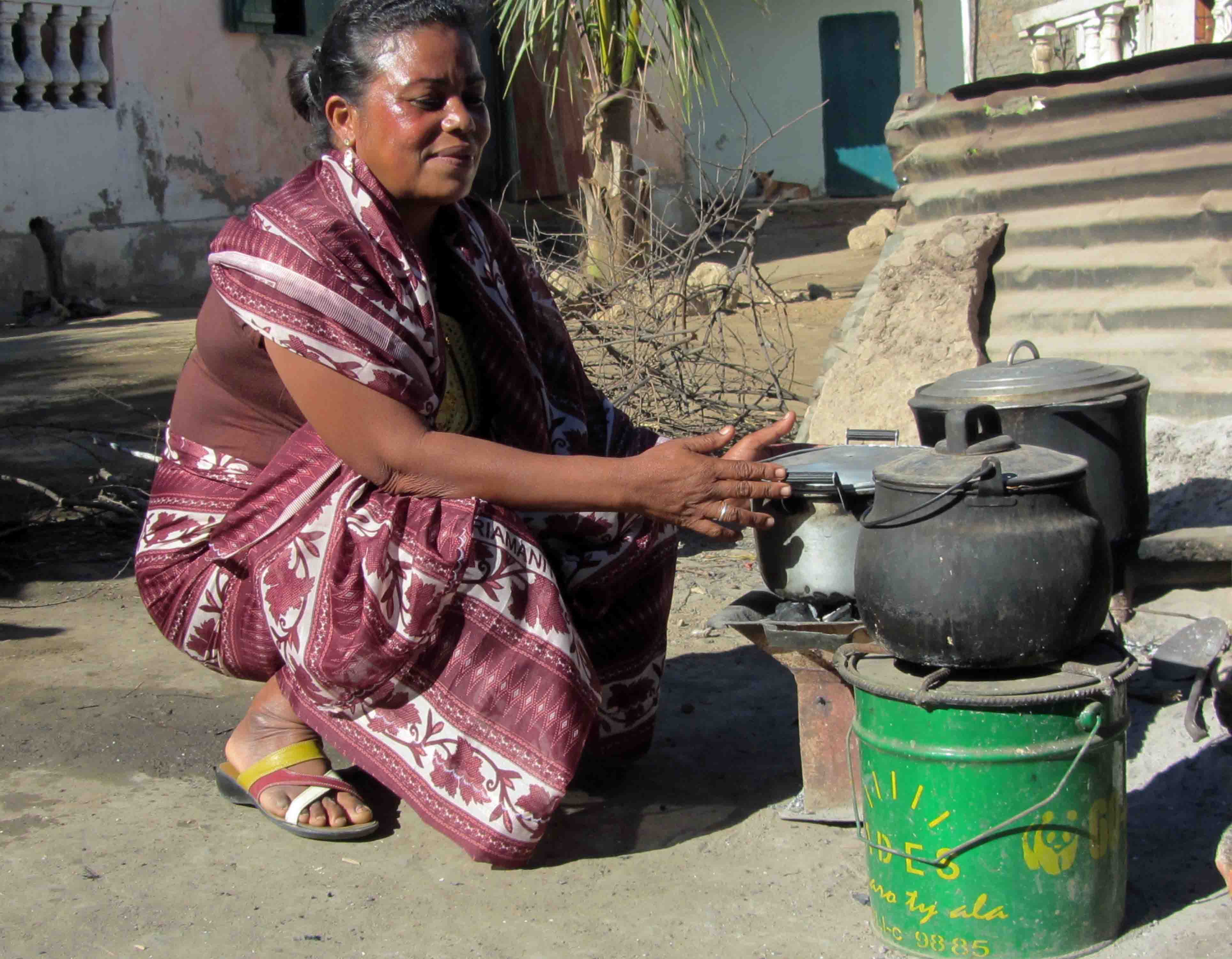 3 000 fatana mitsitsy pour préserver les mangroves d’Ambilobe | WWF