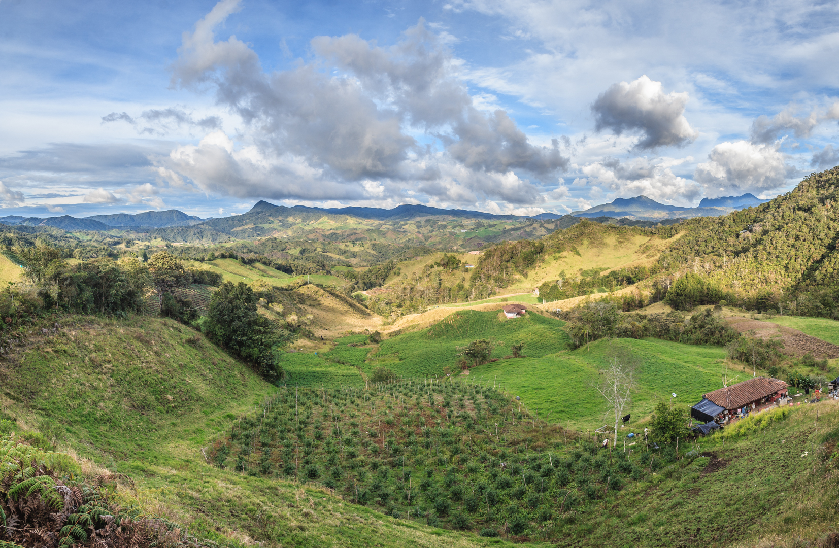 El Oriente antioqueño se pinta de verde | WWF