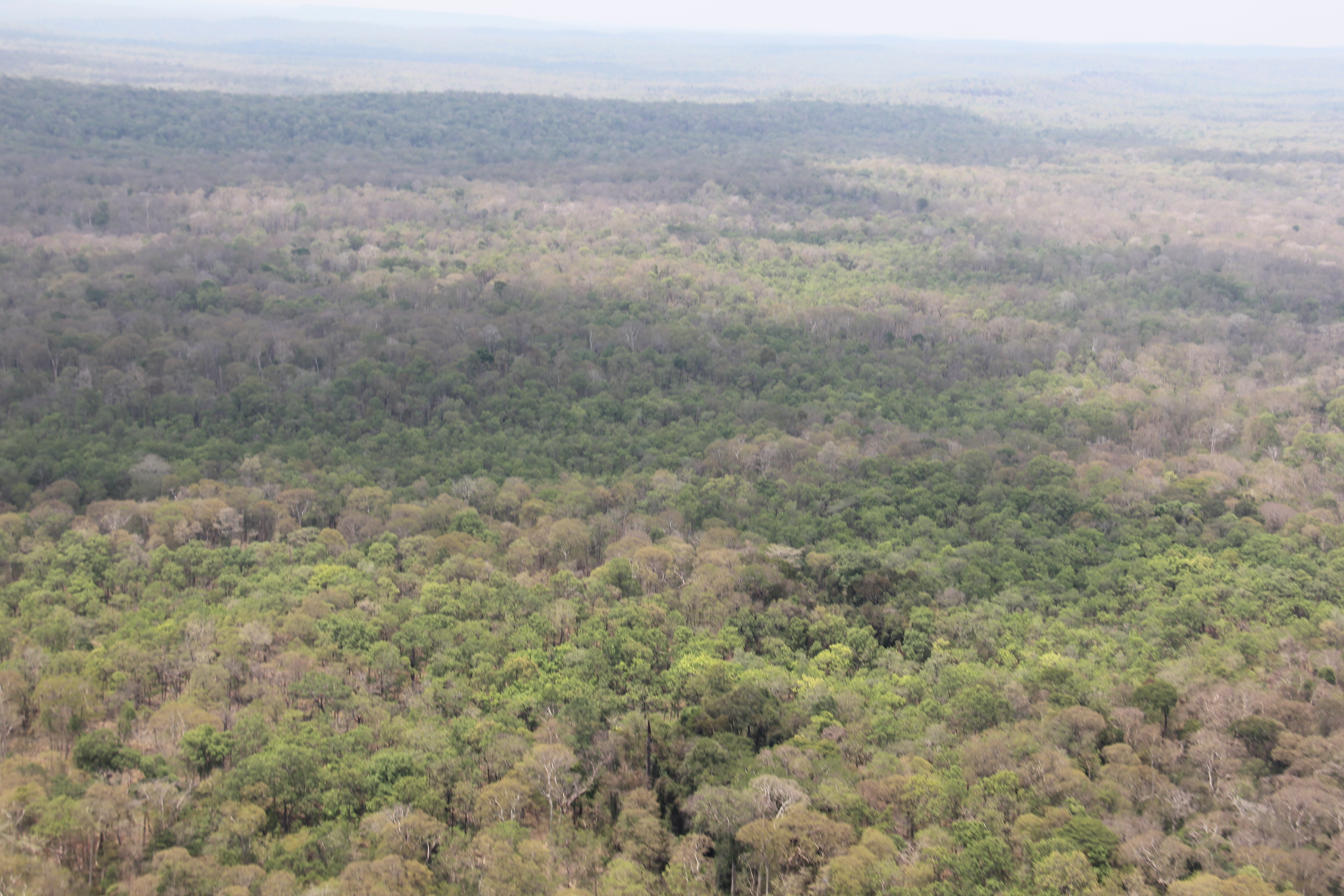 Phnom Prich Wildlife Sanctuary Management Plan Developed in Protecting ...