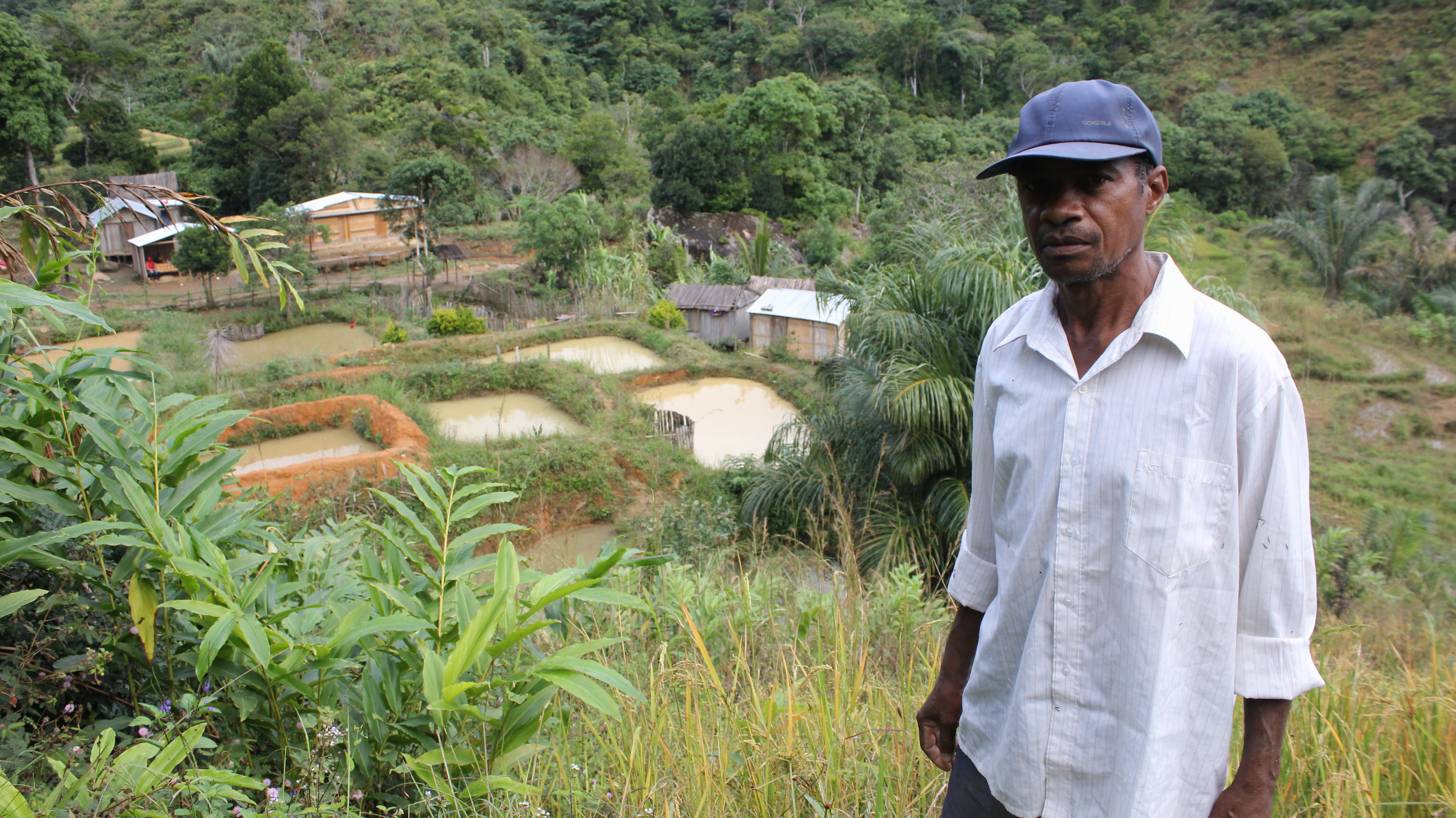 Farmers gather in rural cooperatives to reduce pressures on natural ...