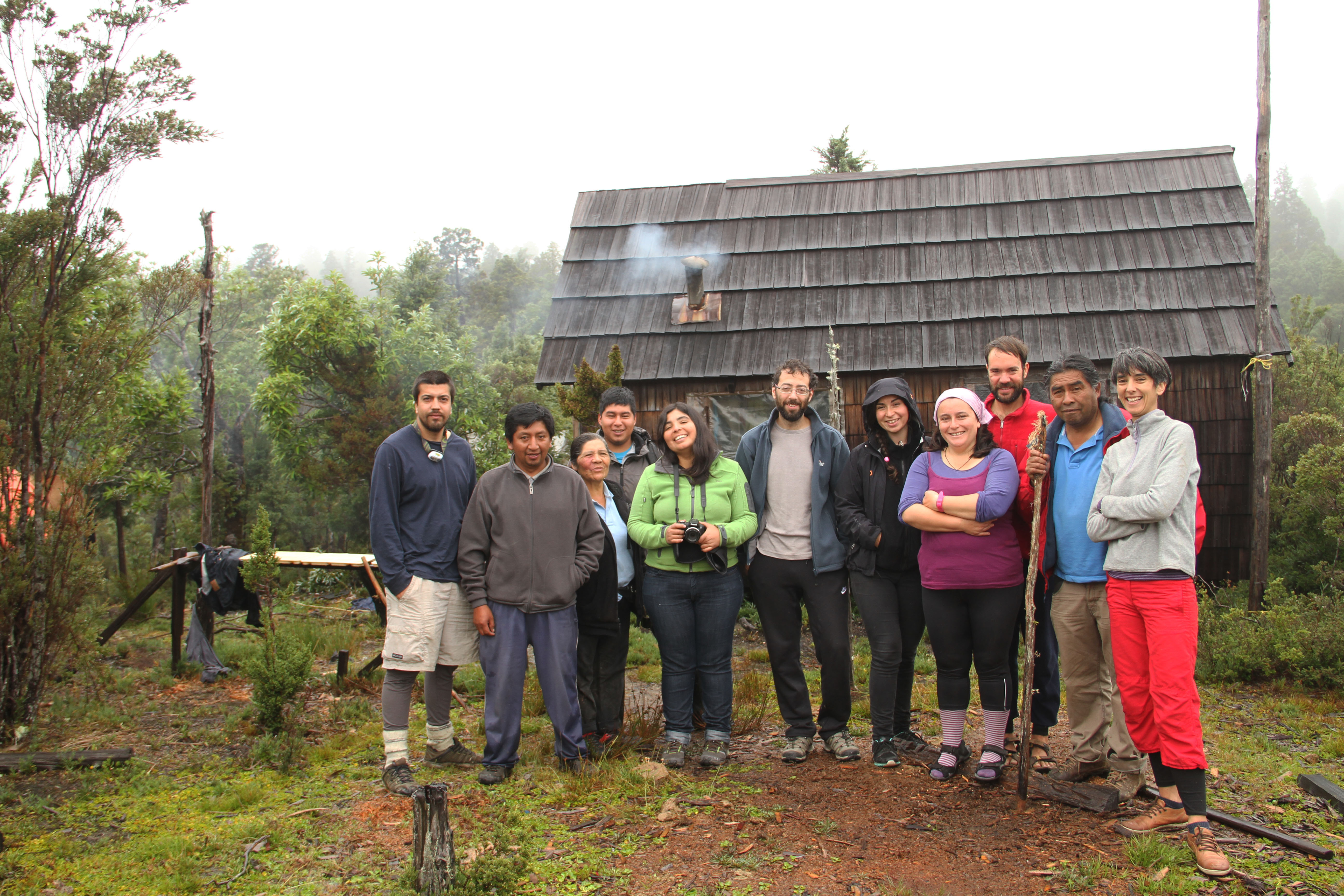 Territorio Mapu Lahual invita a caminar entre senderos de alerce y ...