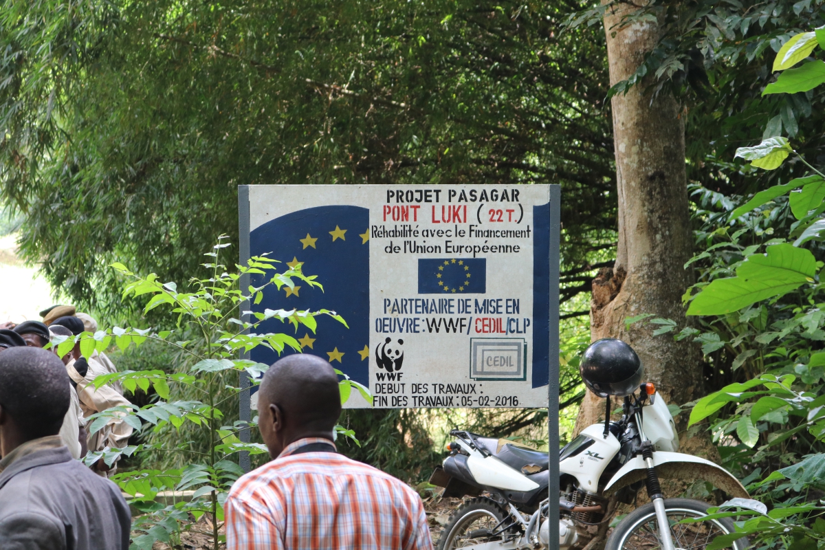 The saving of the Luki Biosphere Reserve with WWF support | WWF