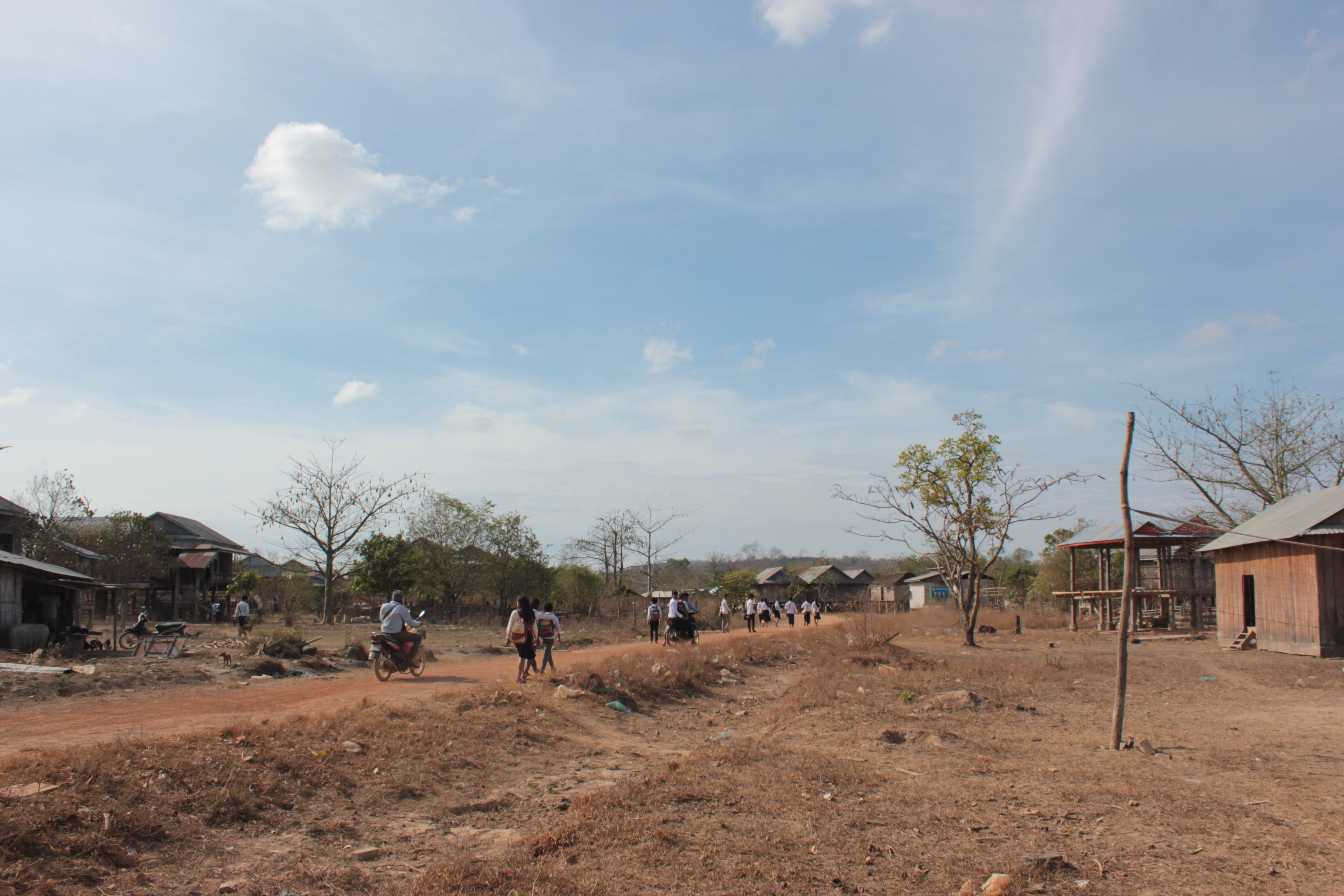 Conservation and Livelihoods - an Essential Link - Srey Thom Case Study ...