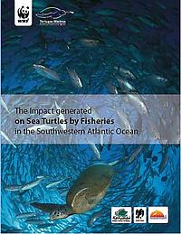 The impact generated by fisheries on Sea Turtles in the Southwestern ...