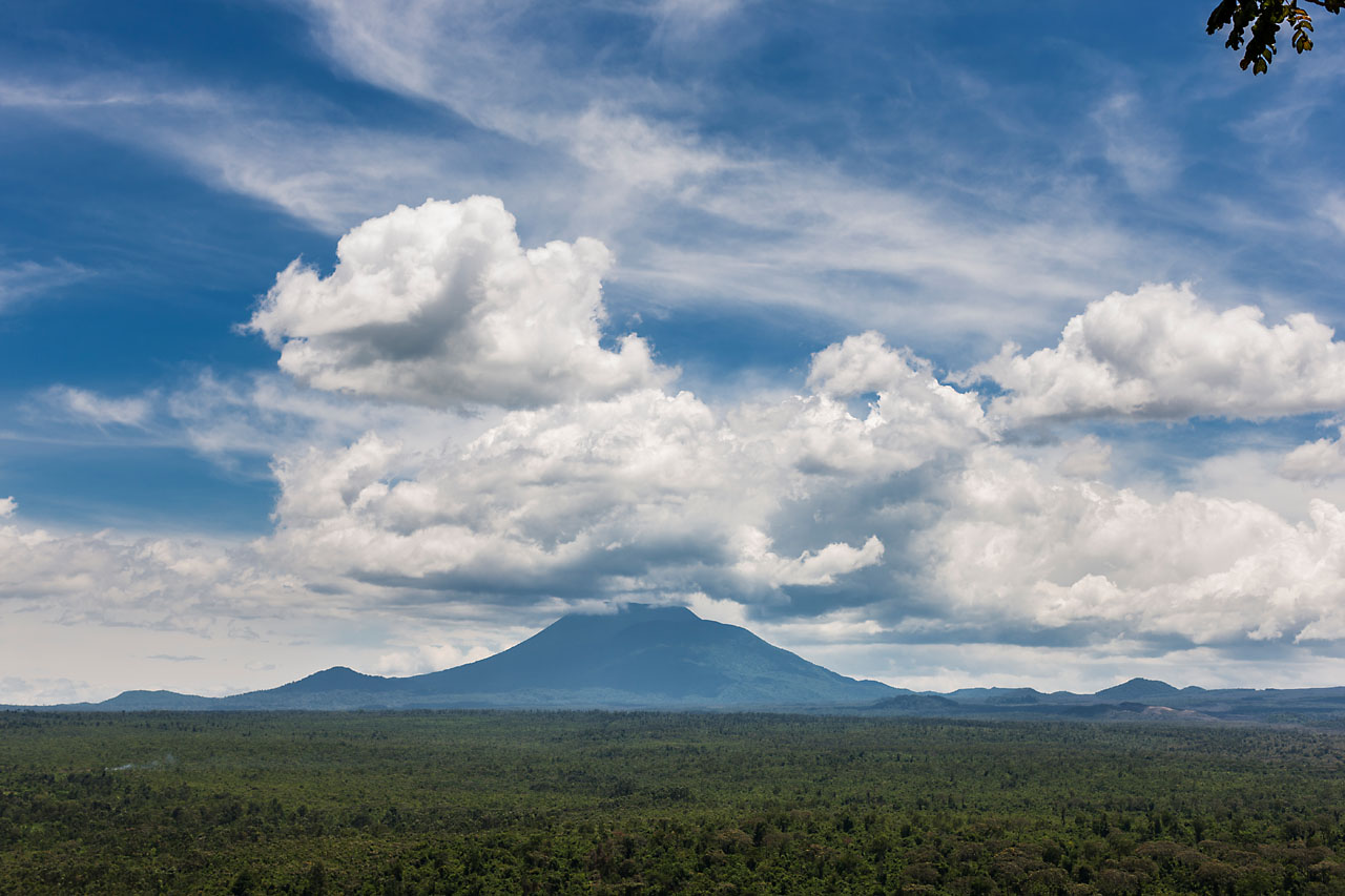 DRC seeking to change Virunga's boundaries | WWF