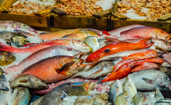 The fish of your choice | WWF