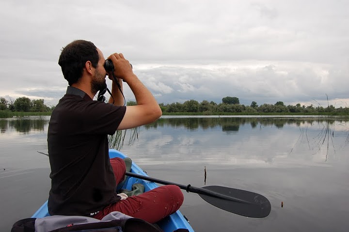 Danube inspires dedication in WWF staff | WWF