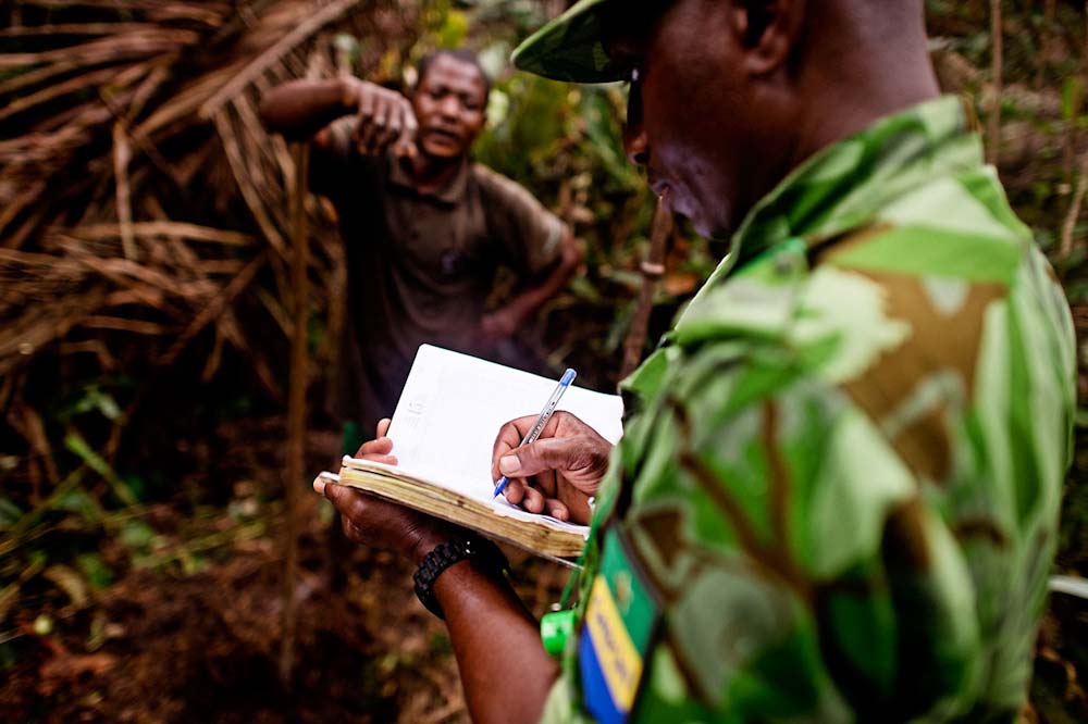 African Development Bank and WWF call for urgent action to combat ...